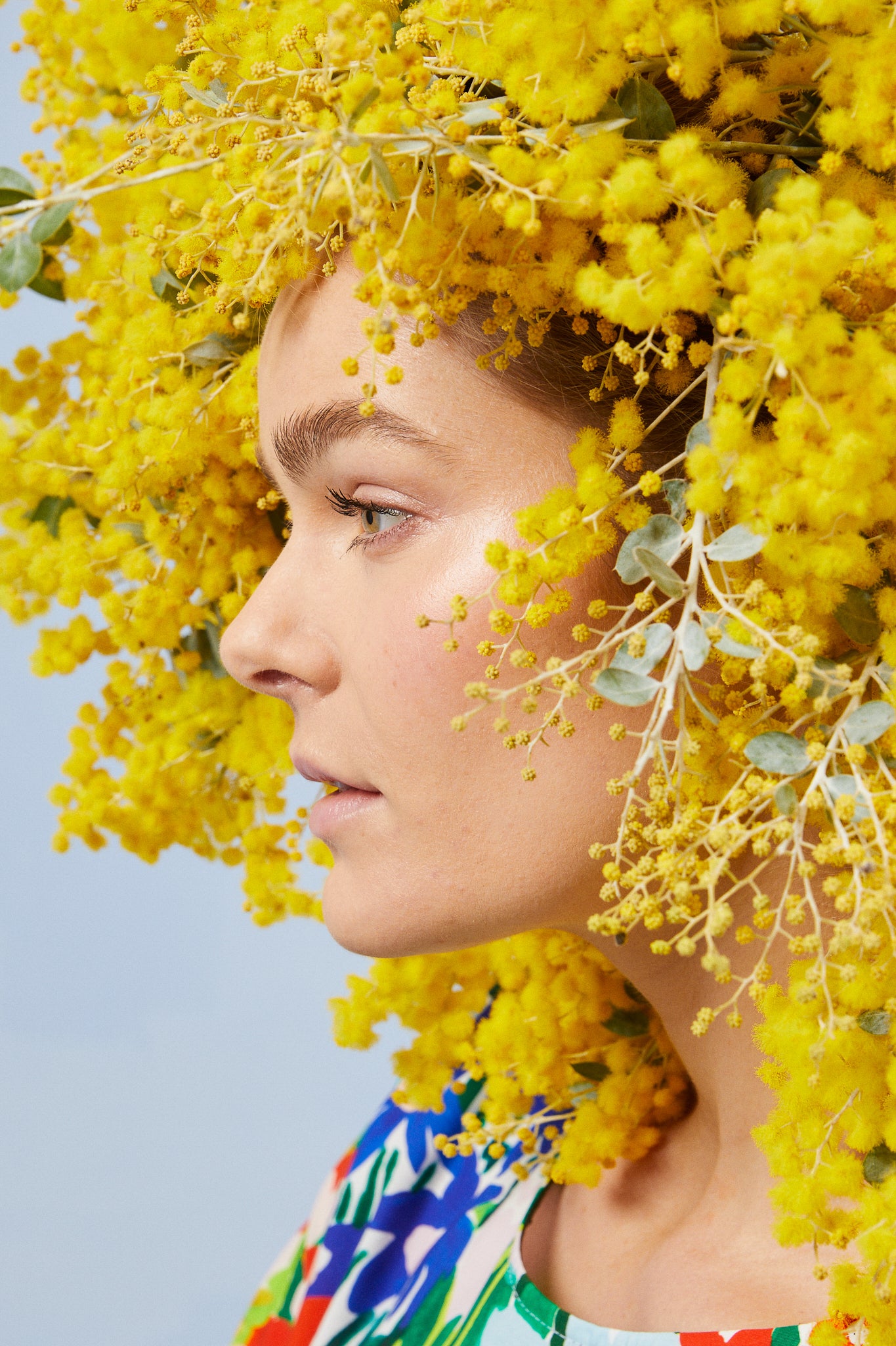 Wattle – Variety Hour Studio